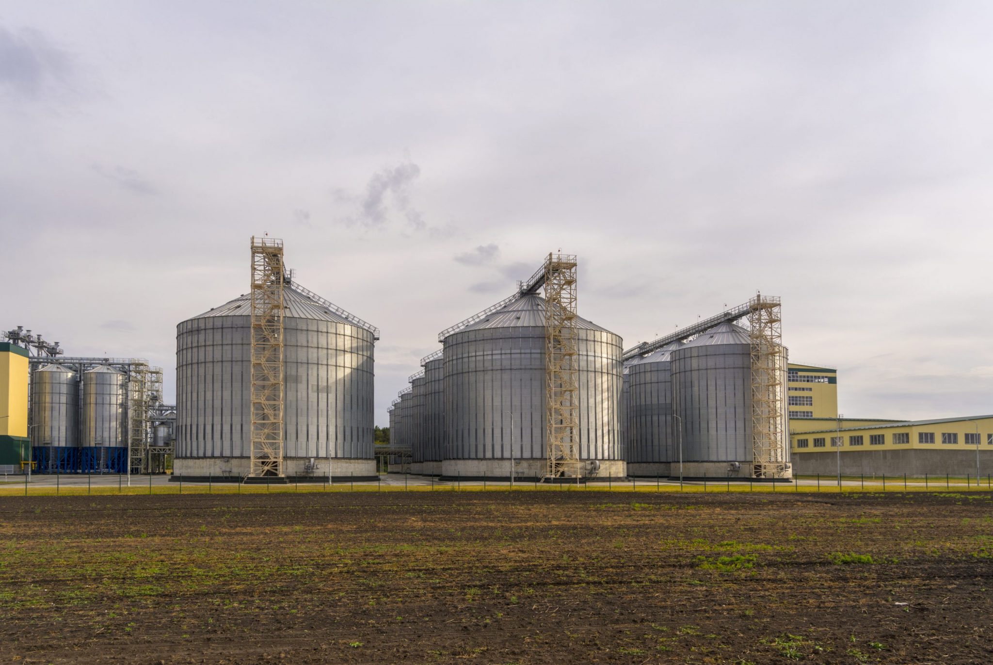La ingeniería agroalimentaria y sus implicaciones - GP3 Ingenieros ...
